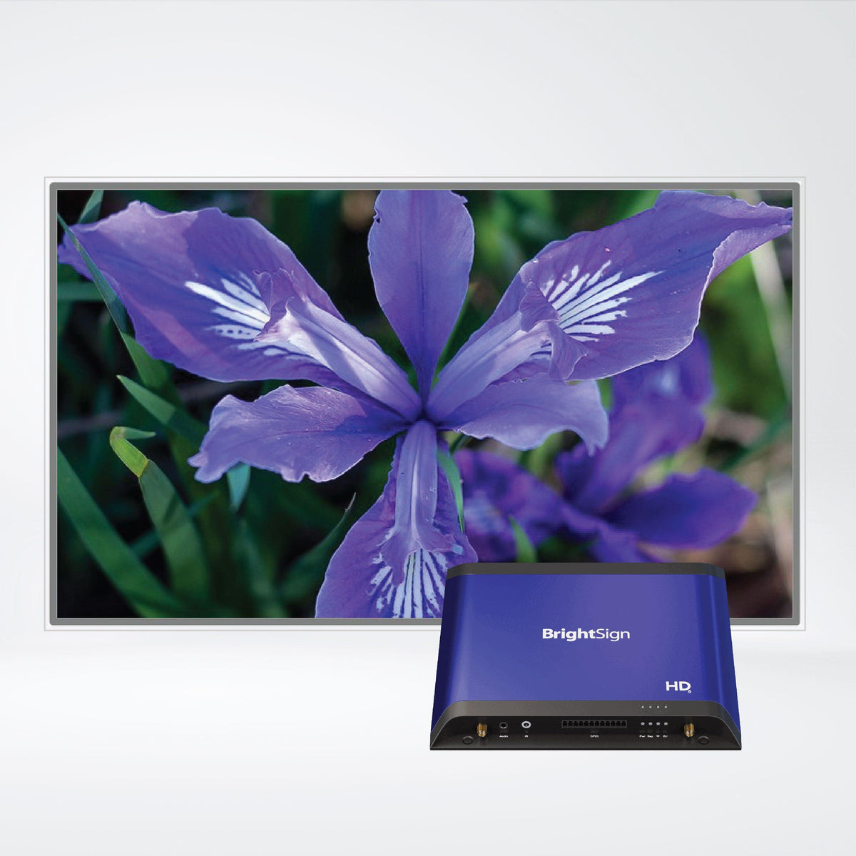 HD225 Built for Interactivity & 4k Content , Standard I/O + 64GB Micro