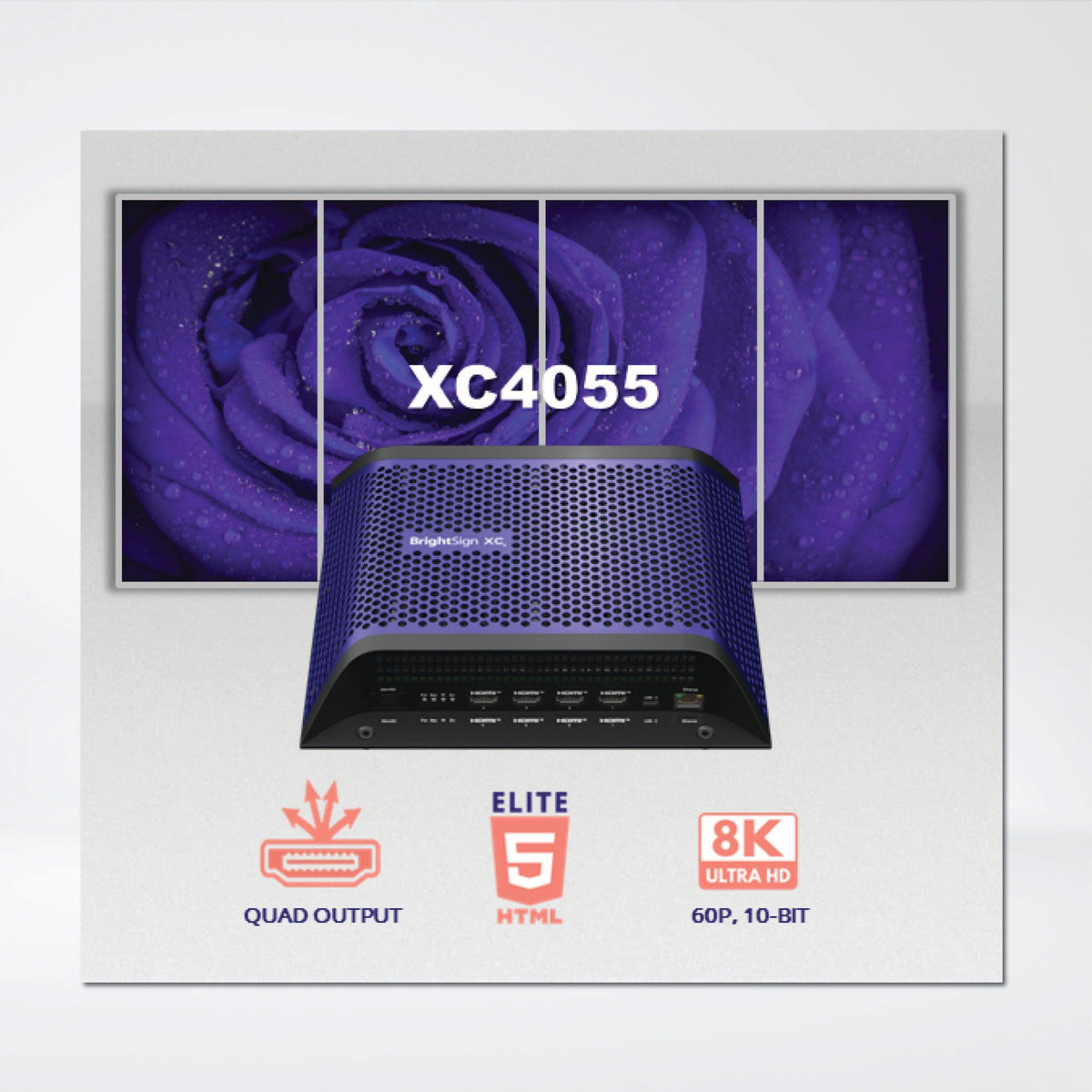 XC4055 ELITE PLAYER 8K, quad HDMI output player with Elite HTML perfor