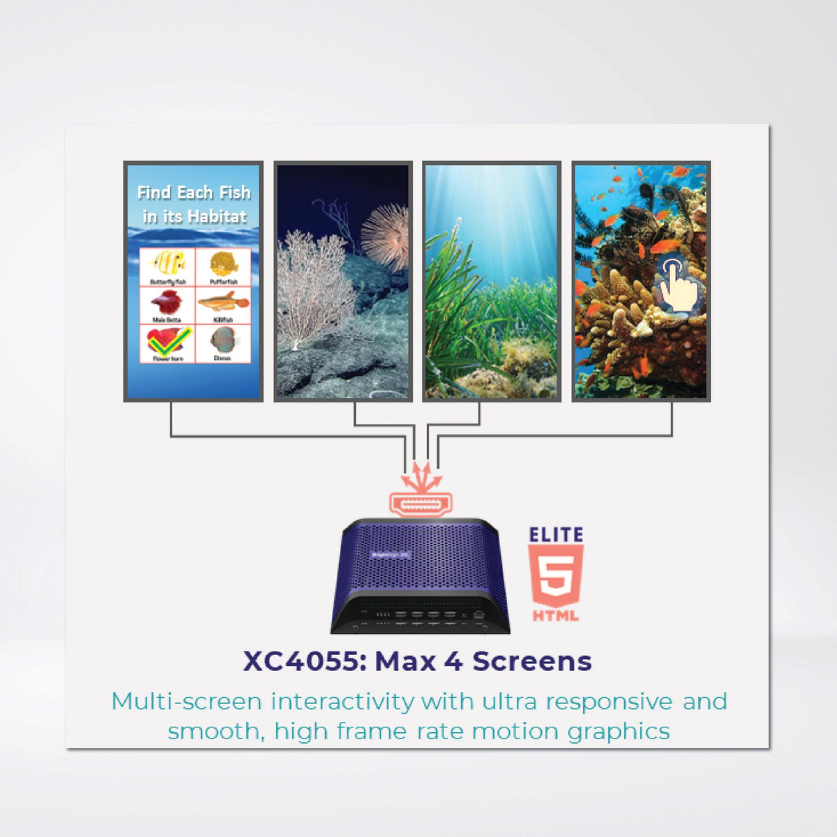 XC4055 ELITE PLAYER 8K, quad HDMI output player with Elite HTML perfor